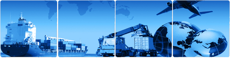 Net Logistics Co., Ltd.